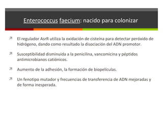 25 años de Enterococcus sp Vancomicina Resistentes | PPT