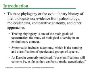 taxonomy or systematic | PPT