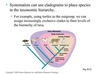 taxonomy or systematic | PPT