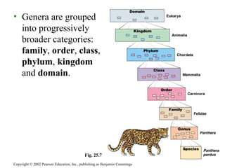taxonomy or systematic | PPT