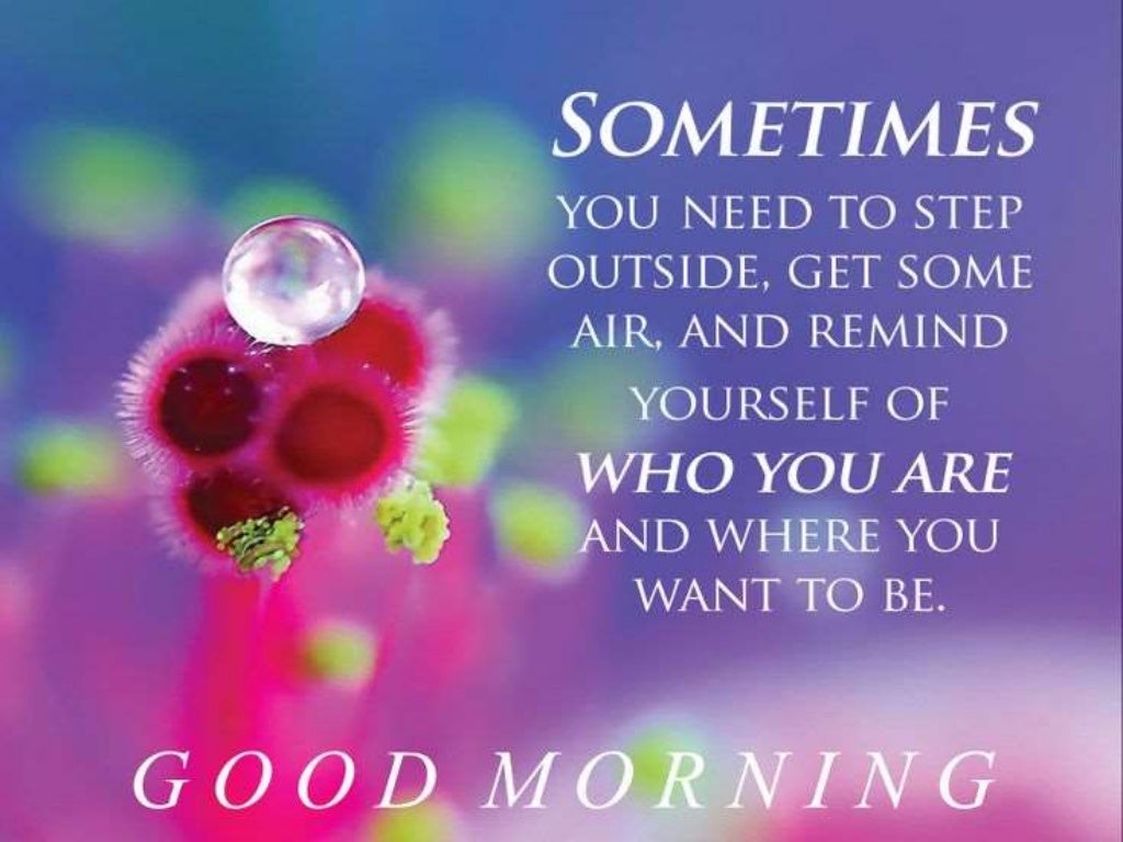 25 Best Quotes that will Brighten your day.