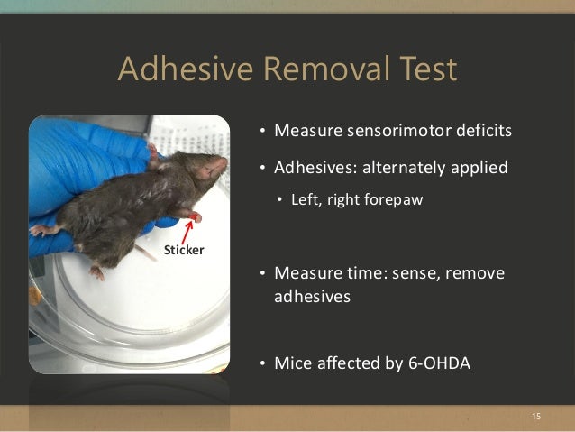 TTT 2015 Academic Conference Presentation