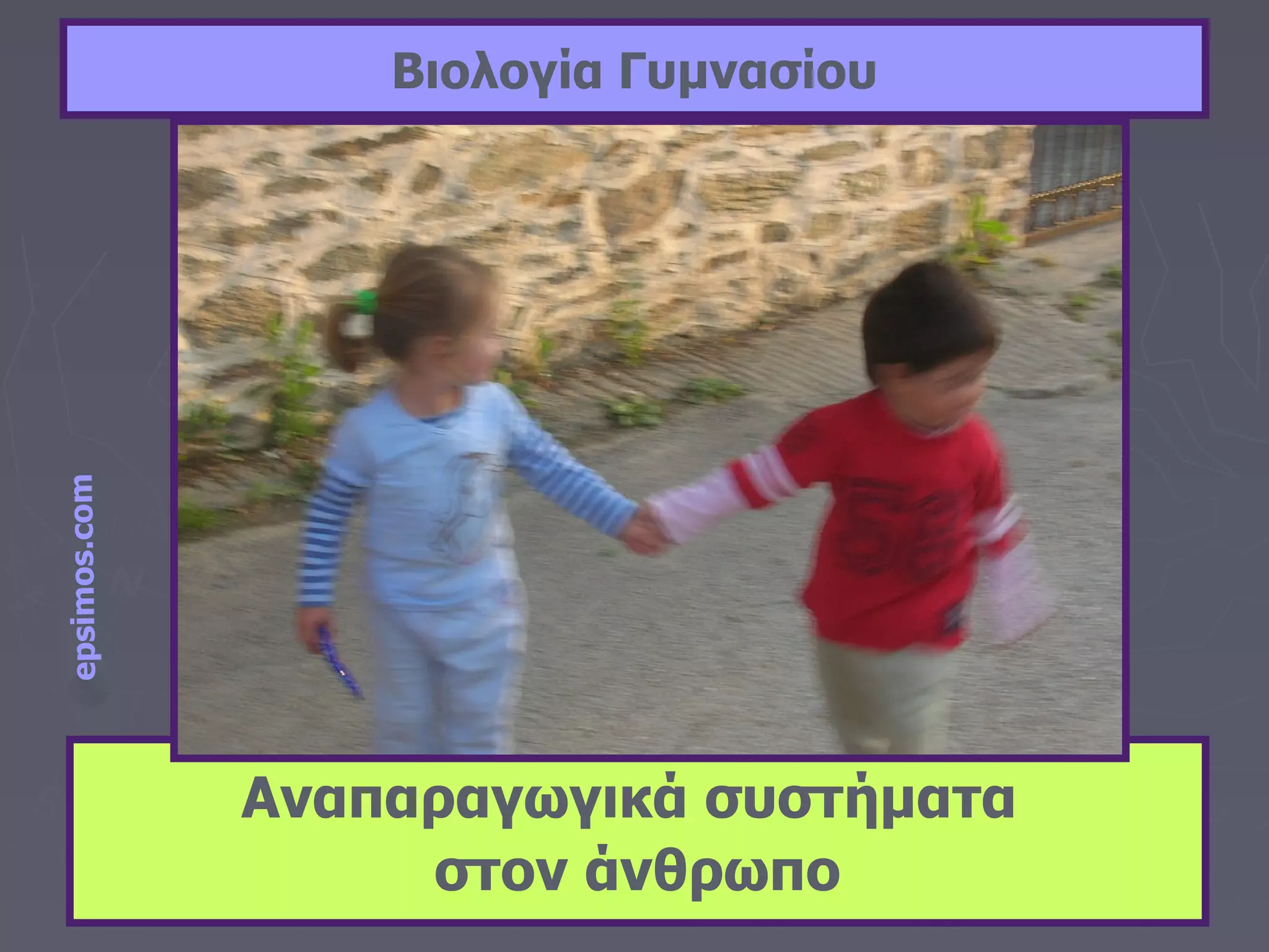 Ανθρώπινο αναπαραγωγικό σύστημα | PPT