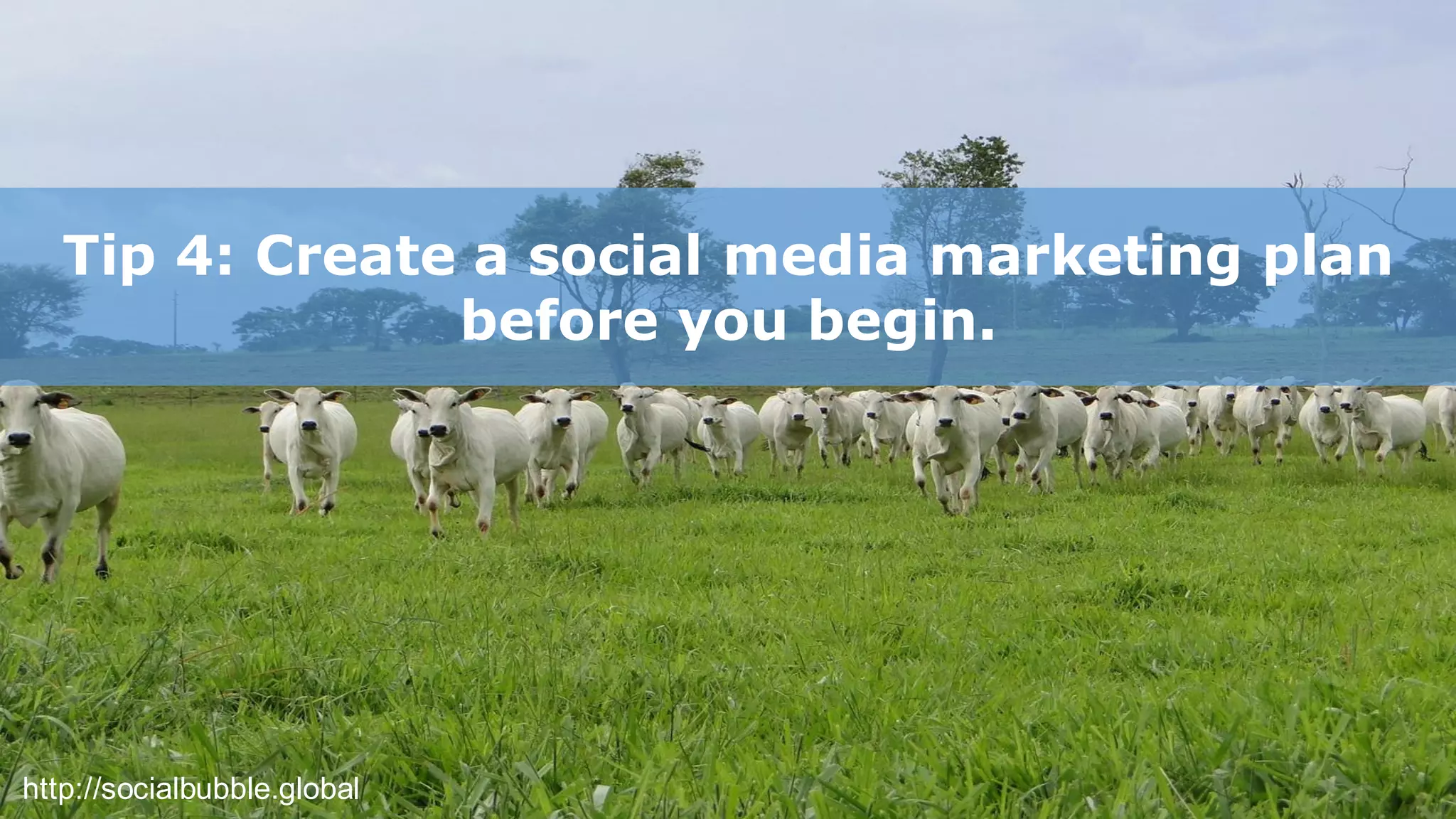 25 classic social media marketing tips for global dairy & milk product ...