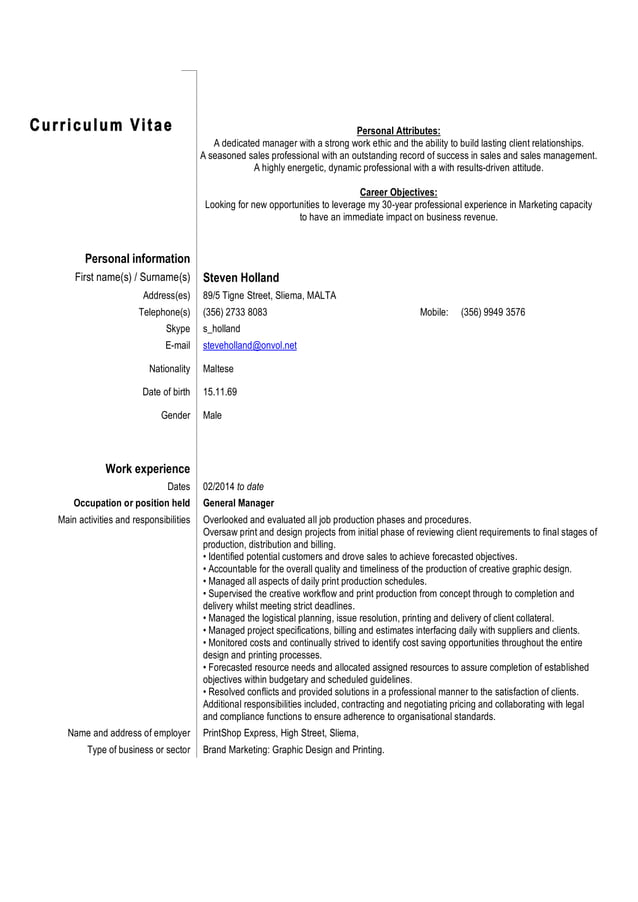 CV Steve Holland | PDF