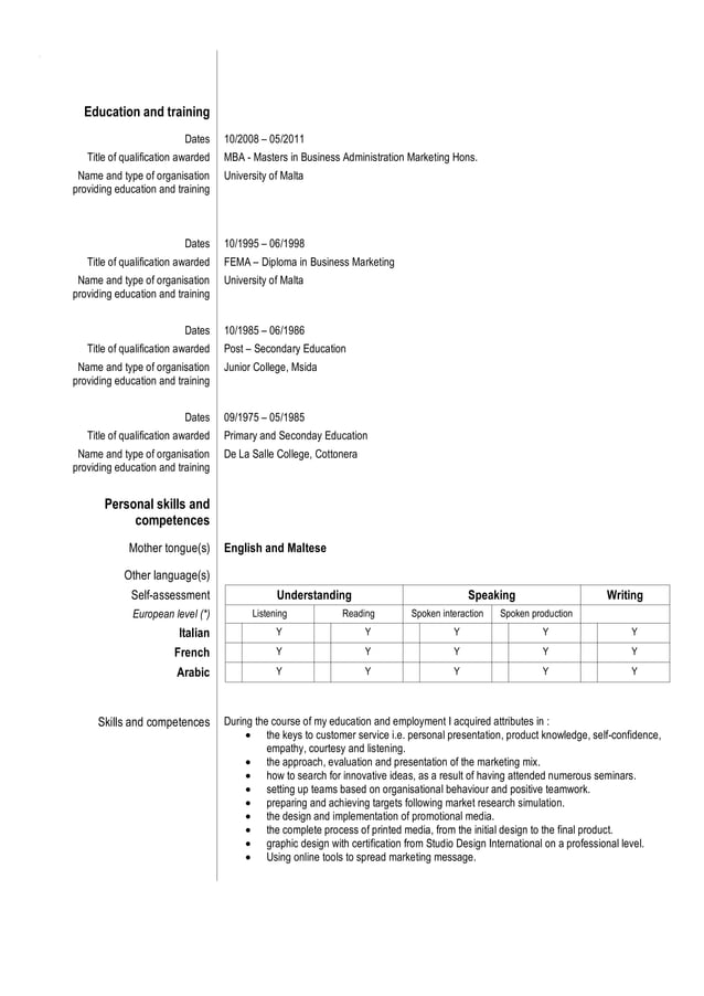 CV Steve Holland | PDF