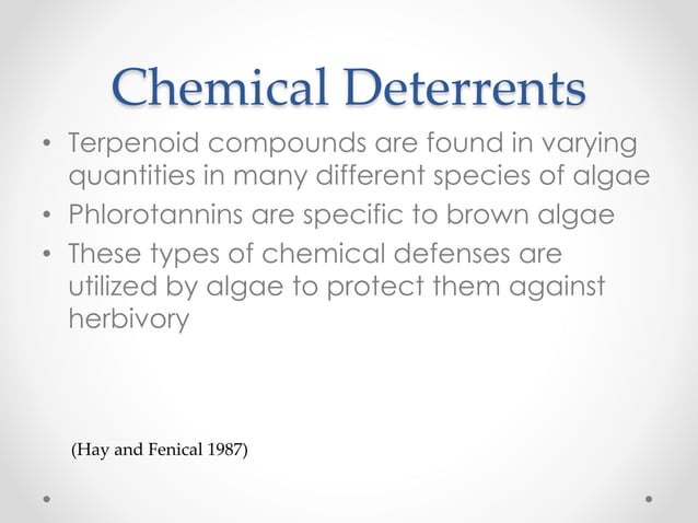 Lytechinus variegatus Presentation | PPTX