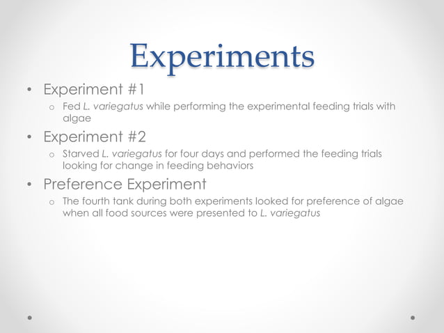 Lytechinus variegatus Presentation | PPTX