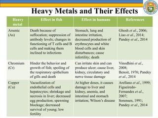 Accumulation of Heavy Metals in Fishes of Freshwater (1) | PPTX