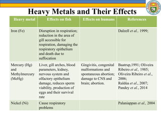 Accumulation of Heavy Metals in Fishes of Freshwater (1) | PPTX