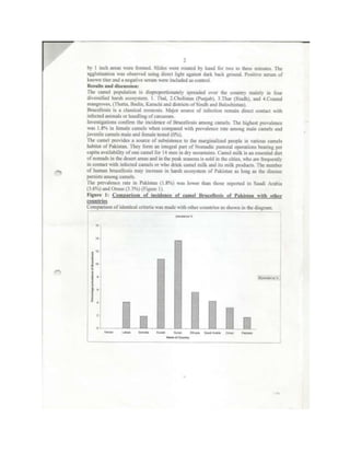 Brucellosis camel | DOCX