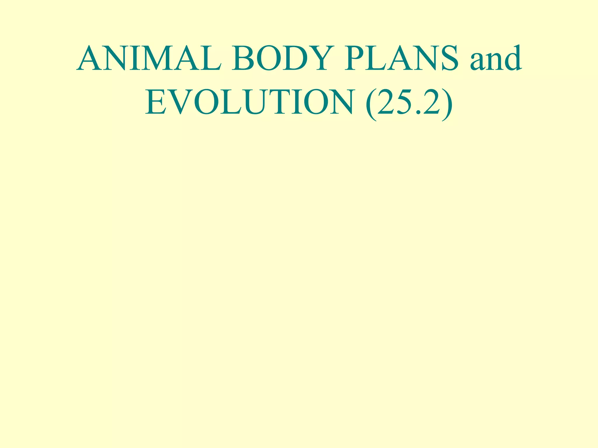 25 intro to the animal kingdom | PPT