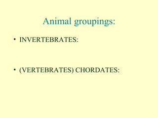 25 intro to the animal kingdom | PPT