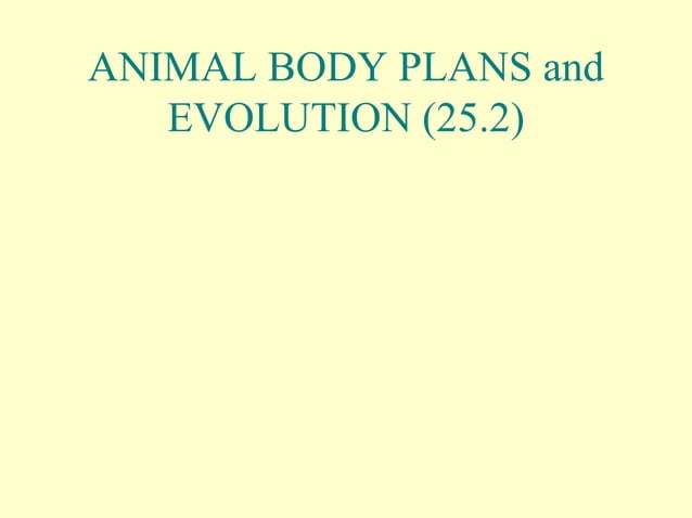 25 intro to the animal kingdom | PPT