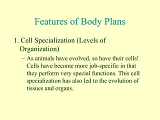 25 intro to the animal kingdom | PPT