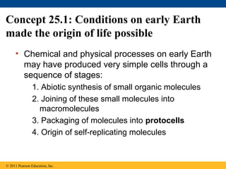 25 lecture history_of_life | PPT