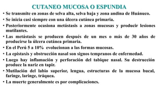 25 LEISHMANIOSIS infectología clase.pptx