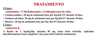 25 LEISHMANIOSIS infectología clase.pptx