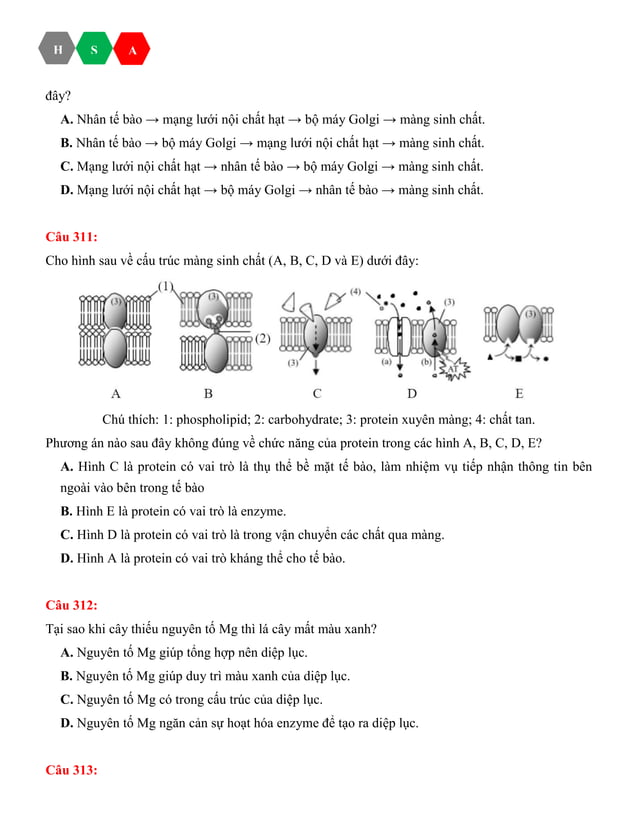 25 ĐỀ LUYỆN THI ĐÁNH GIÁ NĂNG LỰC HSA FORM 2025 - ĐẠI HỌC QUỐC GIA HÀ NỘI - ĐỀ 8 (ĐỀ BÀI + LỜI ...
