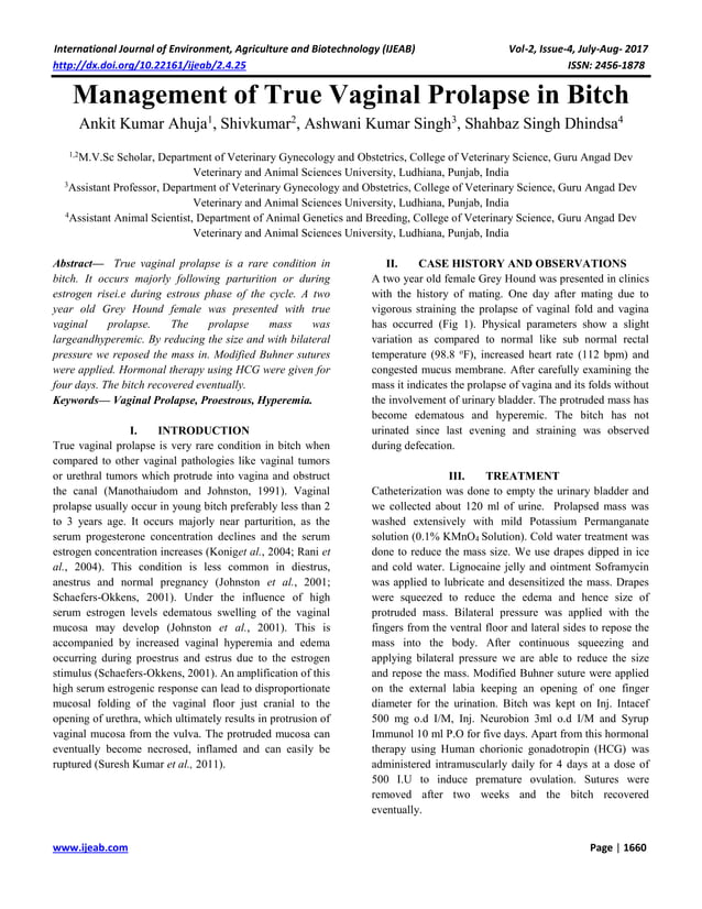 Management of True Vaginal Prolapse in Bitch | PDF | Sexual Conditions | Sexual Health