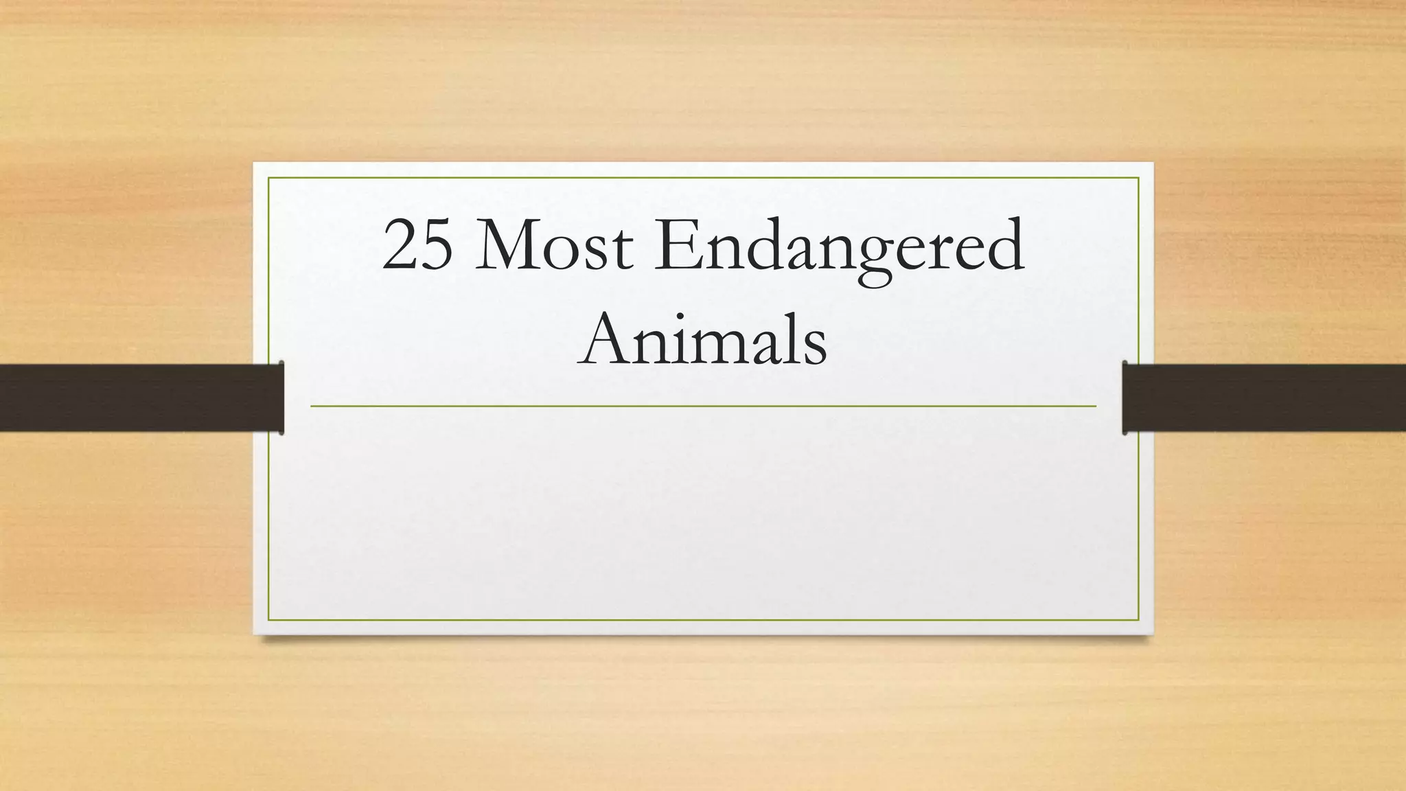 25 most endangered animals powerpoint | PPTX