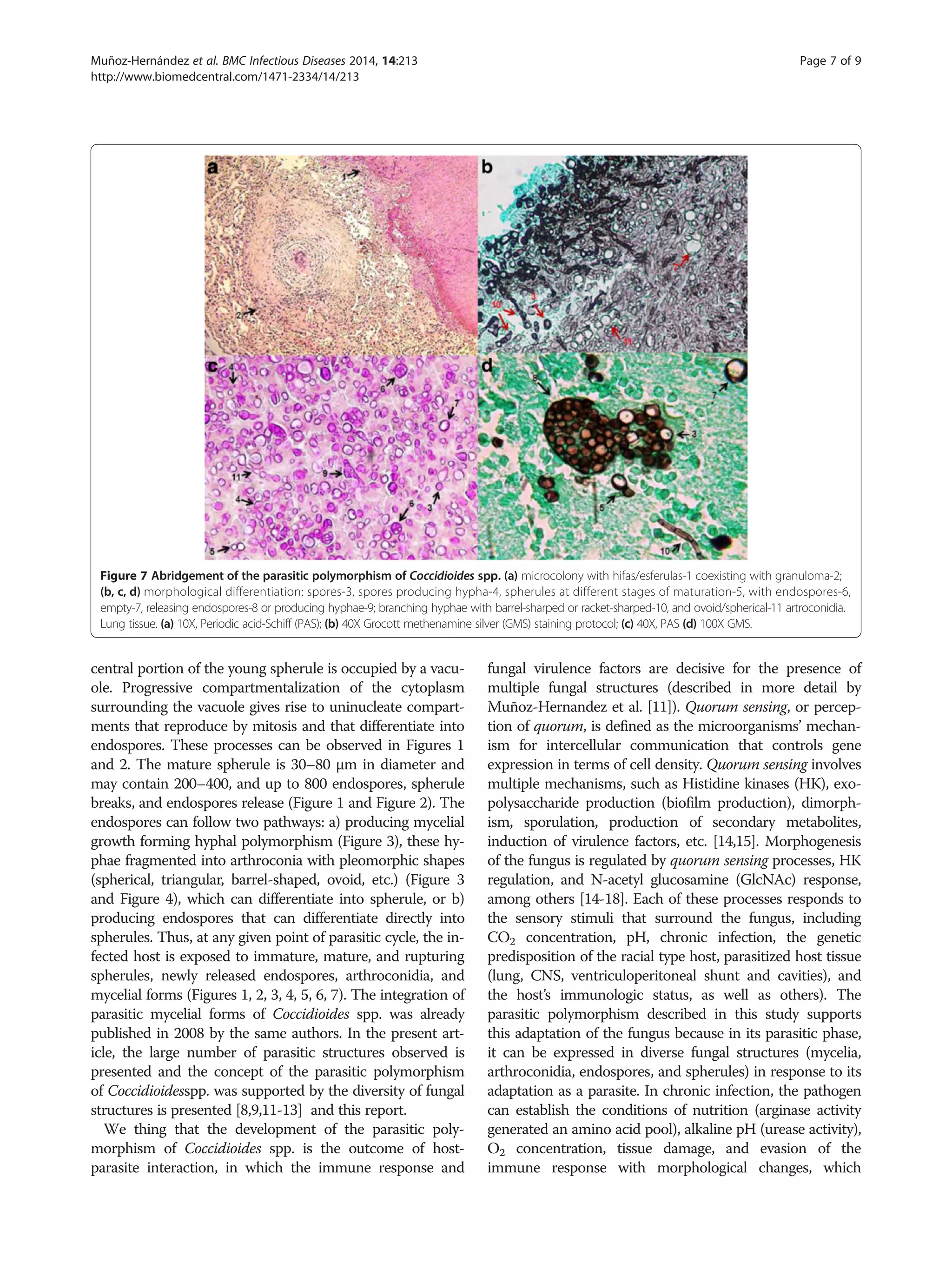 parasitic polymorphism coccidioides spp | PDF