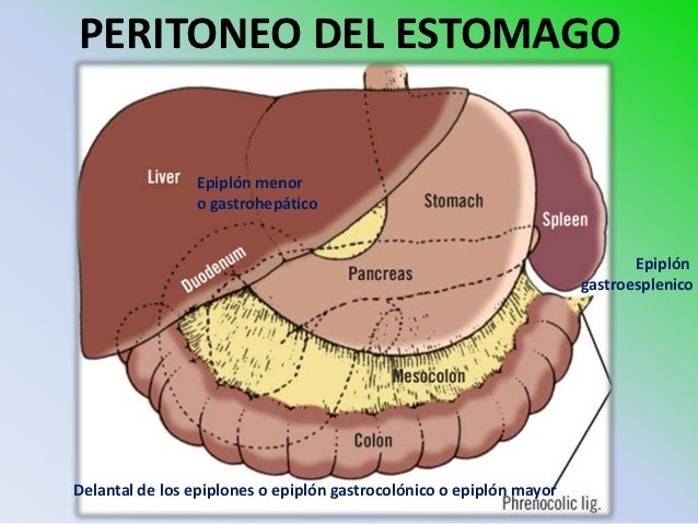 25 peritoneo e irrigacion