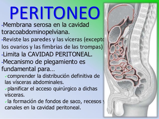 25 peritoneo e irrigacion