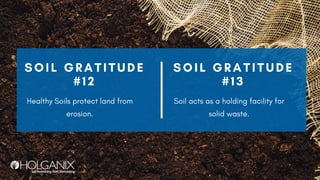 25 Reasons To Be Grateful For Soil | PPT