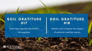 25 Reasons To Be Grateful For Soil | PPT