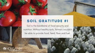 25 Reasons To Be Grateful For Soil | PPT