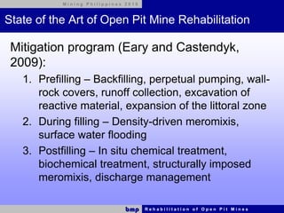 Rehabilitation of Open Pit Mines | PDF