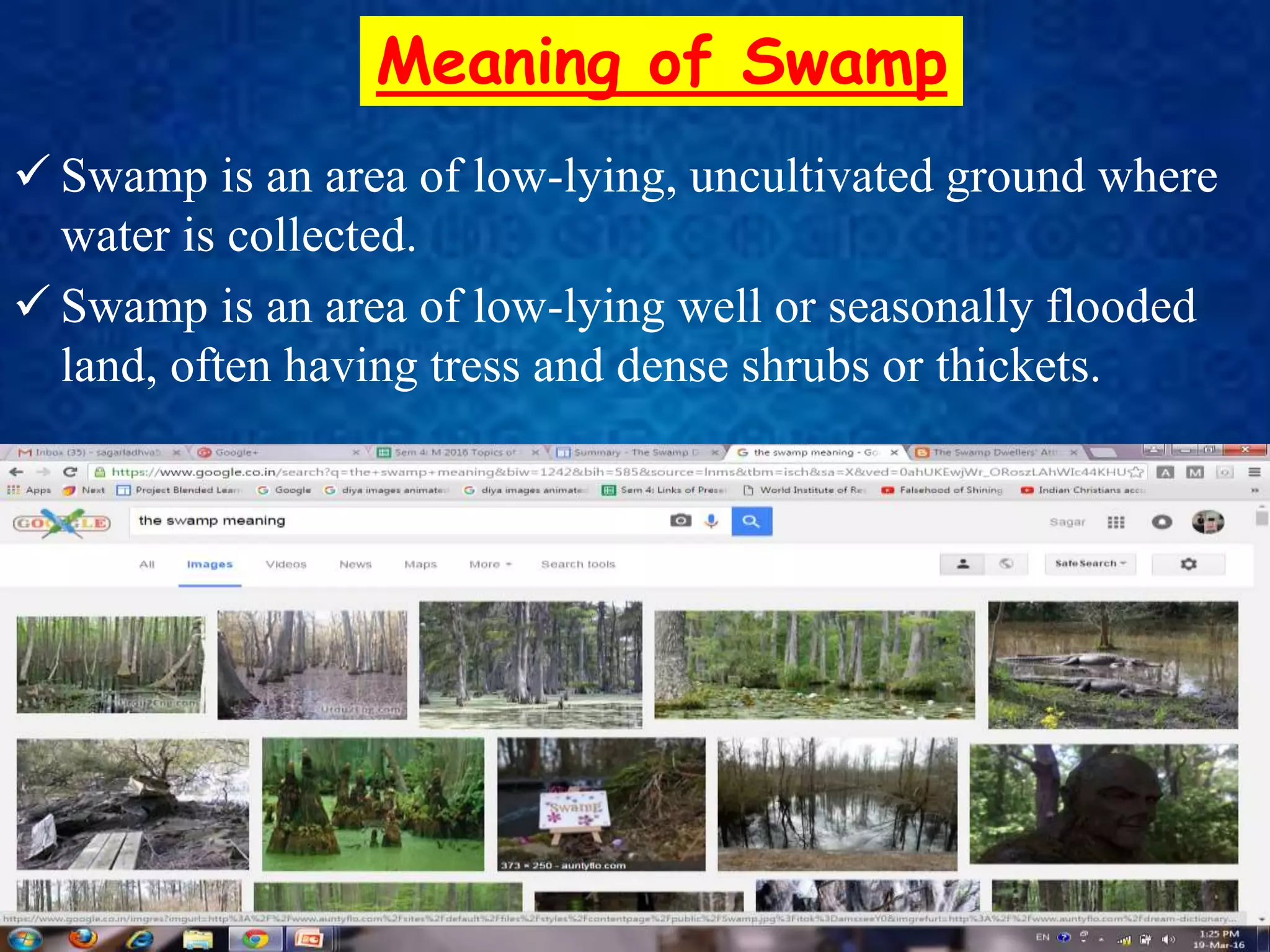 Brief Overview in Swamp Dweller | PPTX | Land and Farms | Real Estate
