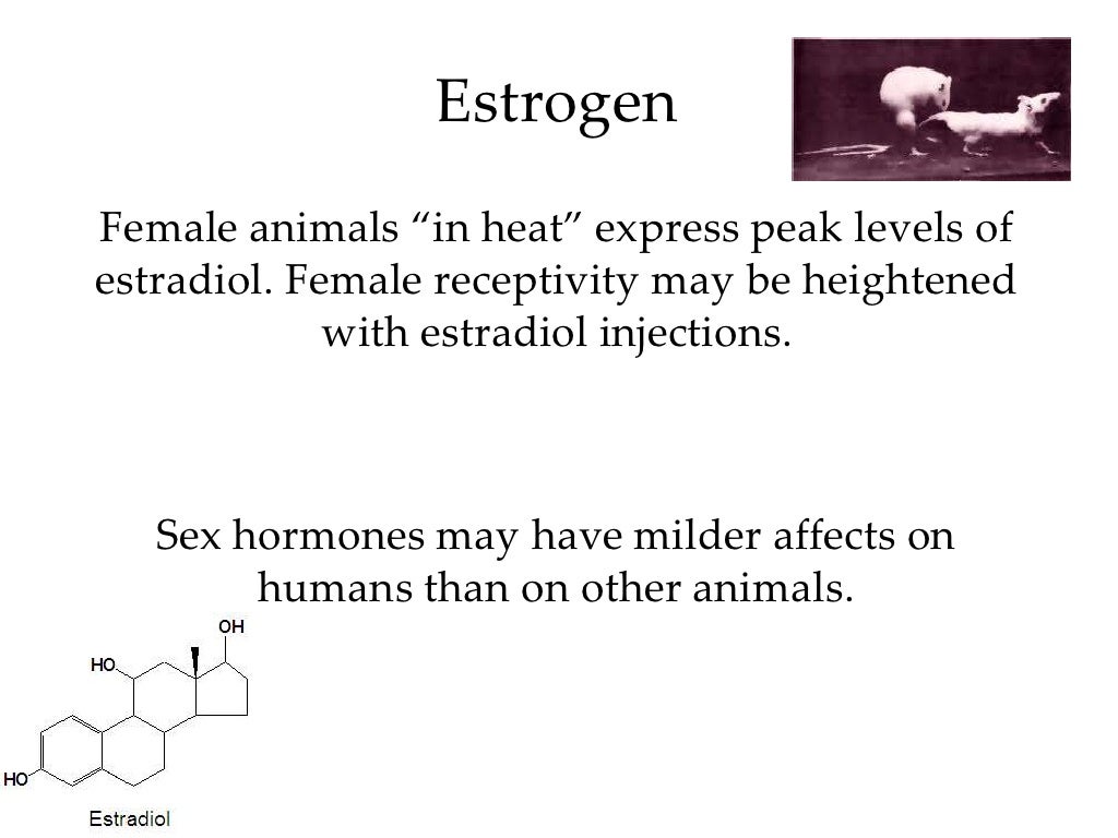 Introductory Psychology Sex