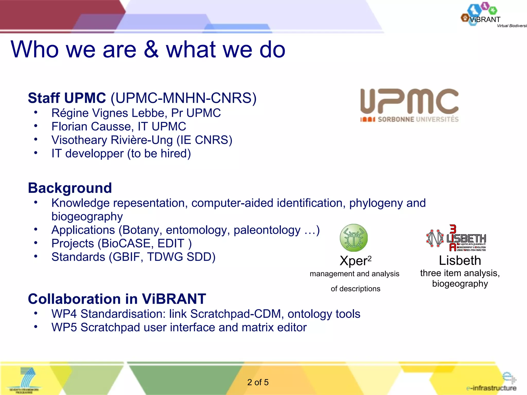 Identification keys | PPT