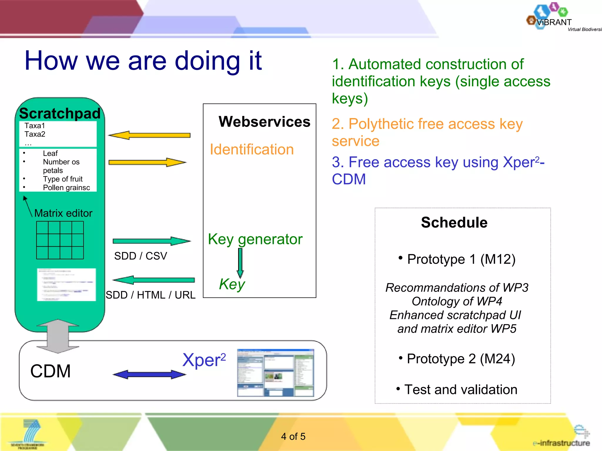 Identification keys | PPT