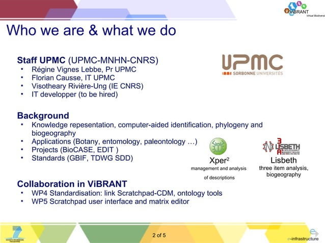 Identification keys | PPT