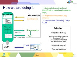 Identification keys | PPT