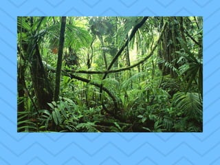 25 vocabulary items | PDF