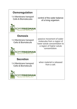 1.4 flashcards | PDF