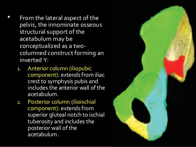 26. acetabular fractures anatomy, evaluation and classification
