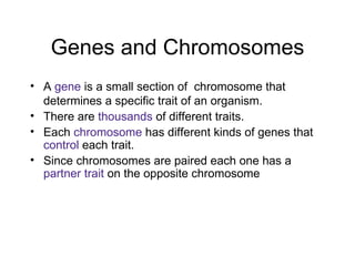 26 1 genetics, how and why | PPT