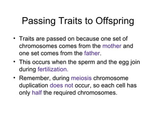 26 1 genetics, how and why | PPT