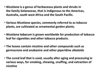 26. Tobacco.pdf