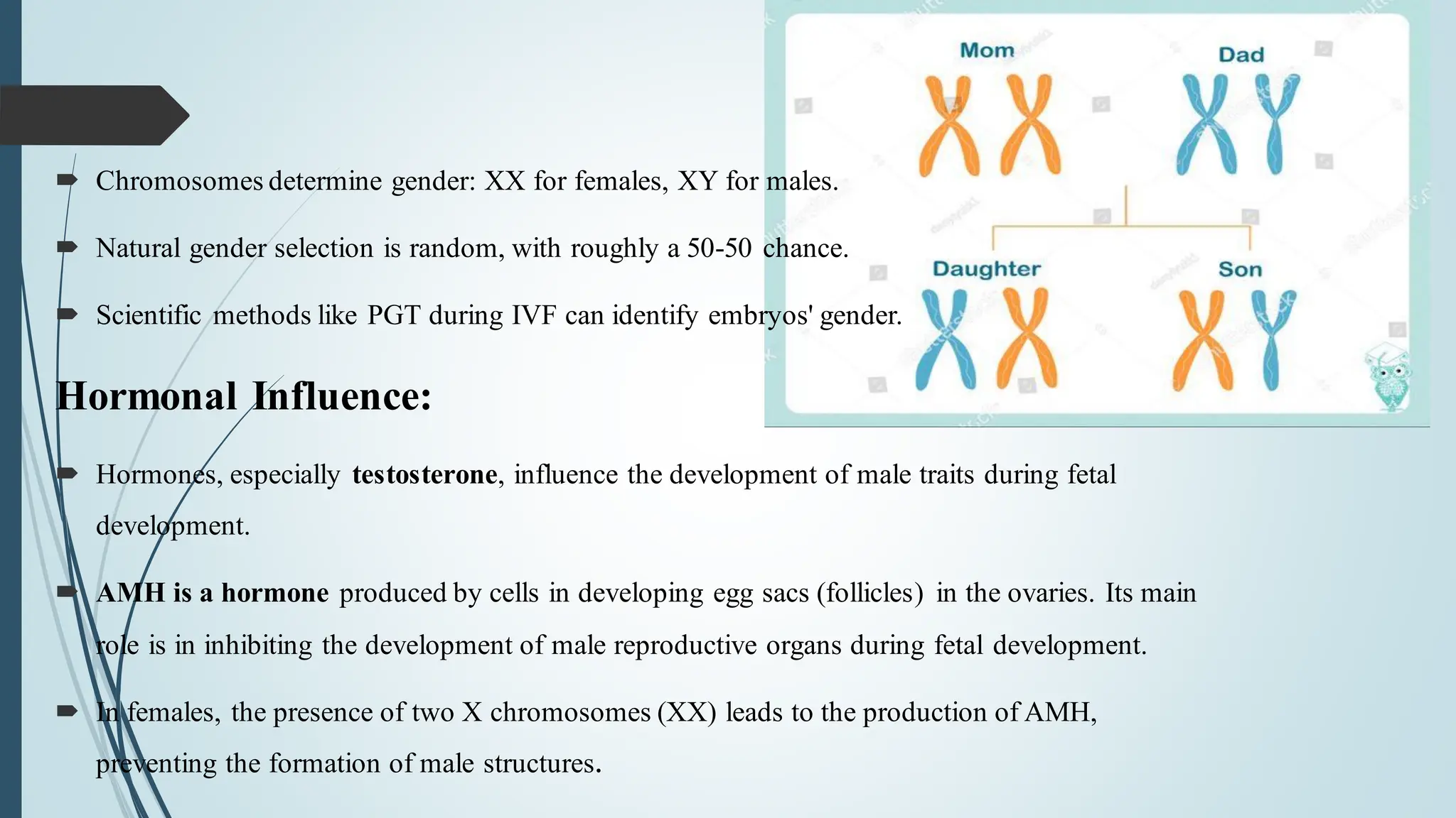 26.Role of hormones during gender selection.pdf