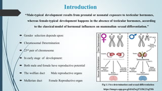 26.Role of hormones during gender selection.pdf