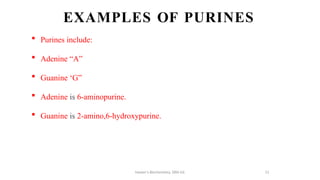 DPT - Biochemistry & Genetics - II (Metabolism of Proteins) Specialized ...