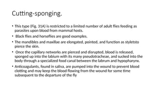 Types Of heads and Mouth Parts in Insects | PPT