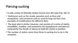 Types Of heads and Mouth Parts in Insects | PPT
