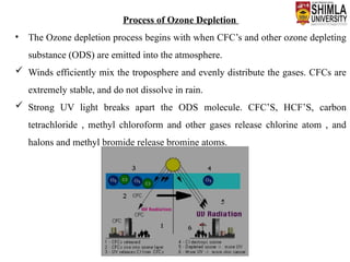 26. Ozone Layer Depletion.pptx and they effects | PPTX